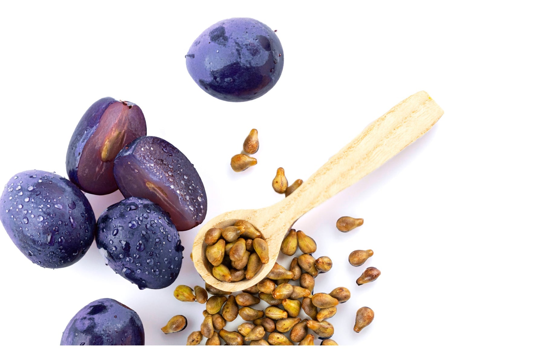 Unlocking the Power of Proanthocyanidins: Nature’s Potent Antioxidants ...