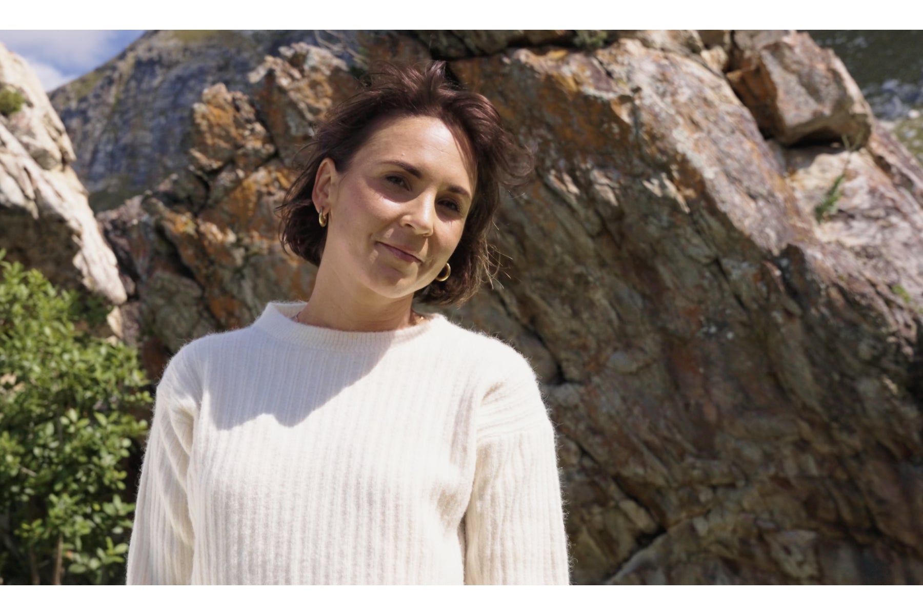 Value Added Life Wellness Guide