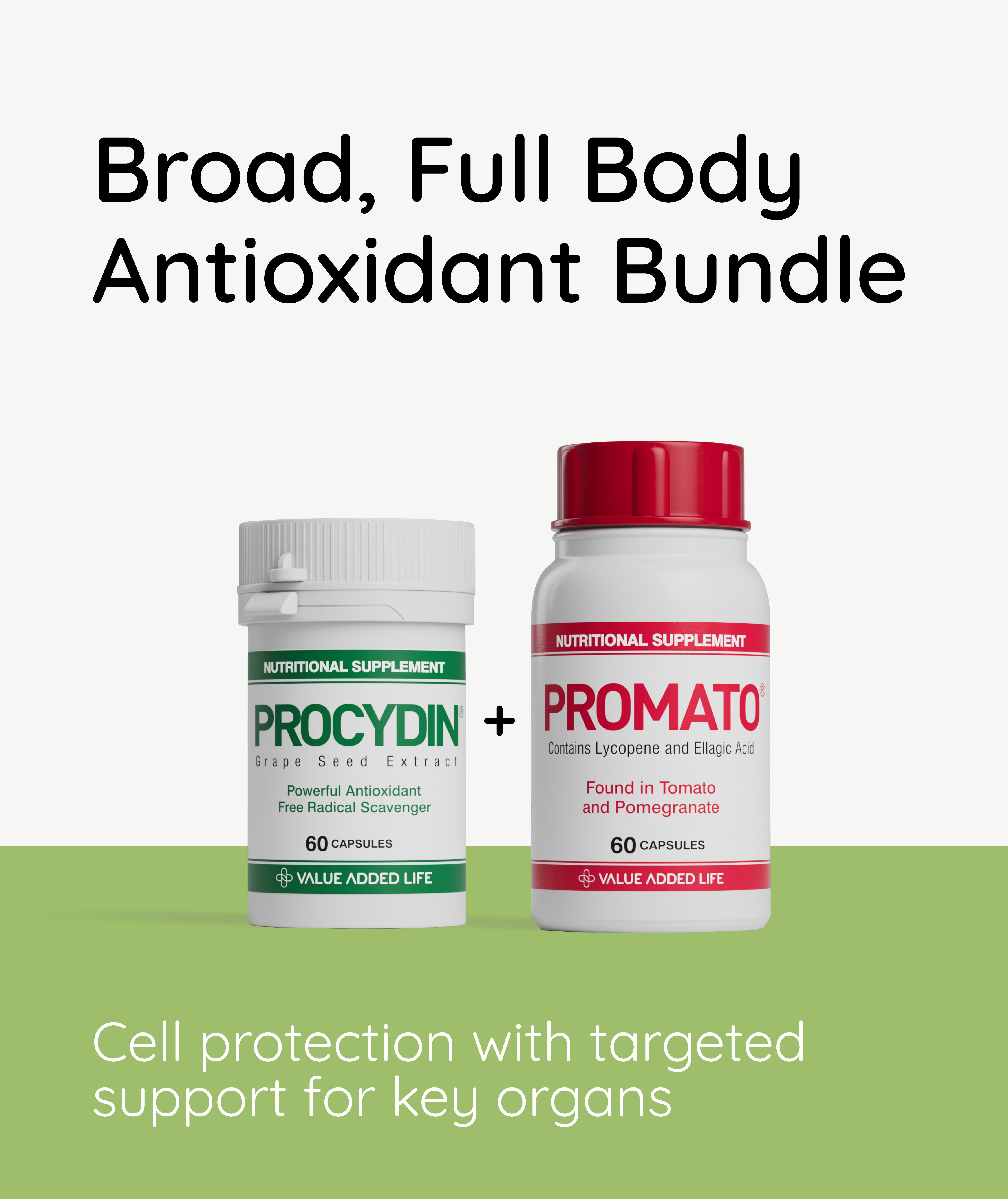 Broad, Full Body Antioxidant Bundle – Value Added Life